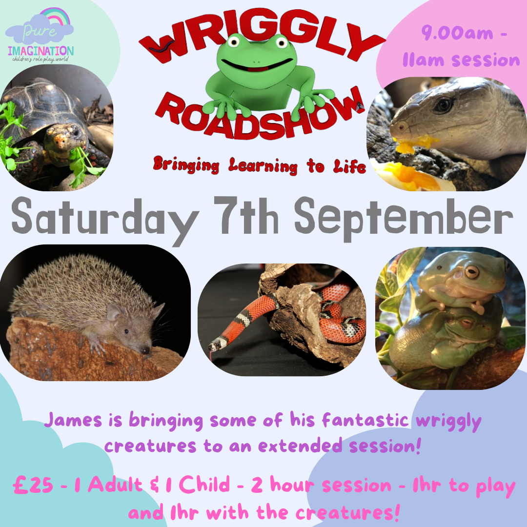 Pure Imagination Wriggly Roadshow